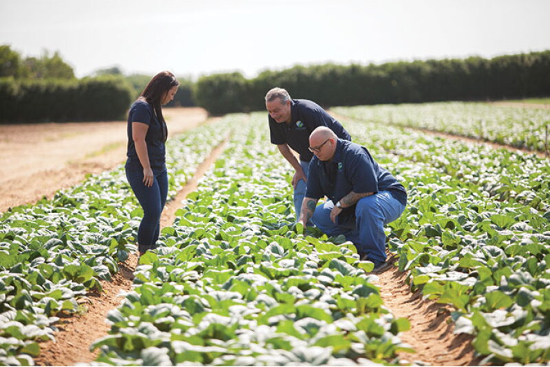 New Jersey crops even out after warm, cool spells - The Packer