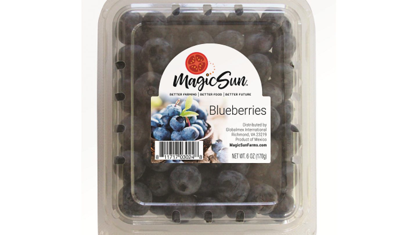Magic Sun offers imported blueberries, with plans to double crop - The Packer