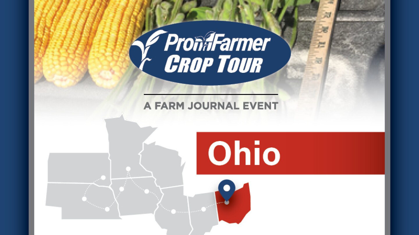 Ohio Farmers Eye Possibility of Record Corn Crop to Kick Off Pro Farmer ...