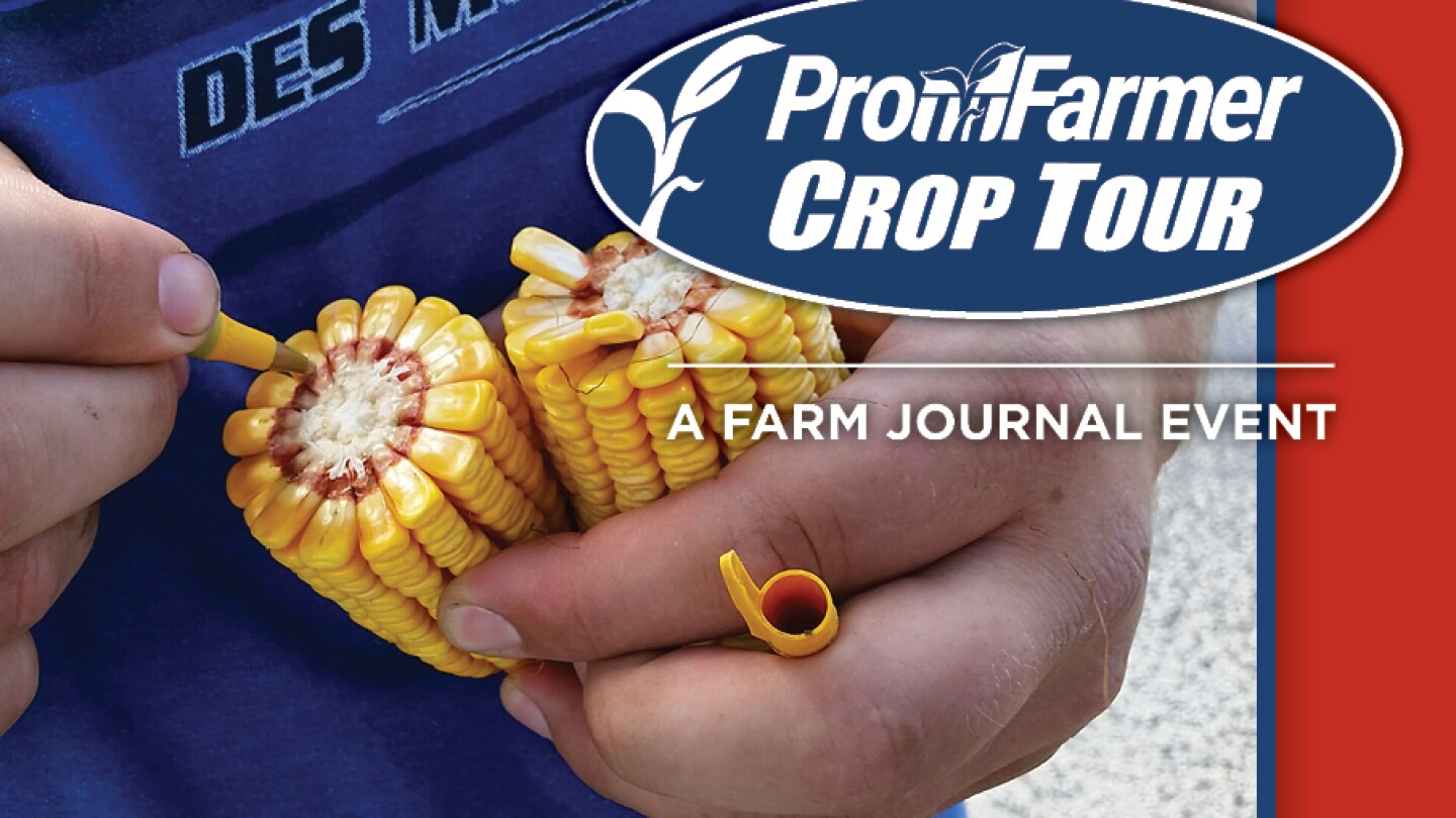 Take a Virtual Tour to See What Pro Farmer Crop Tour Scouts Saw in Ohio ...