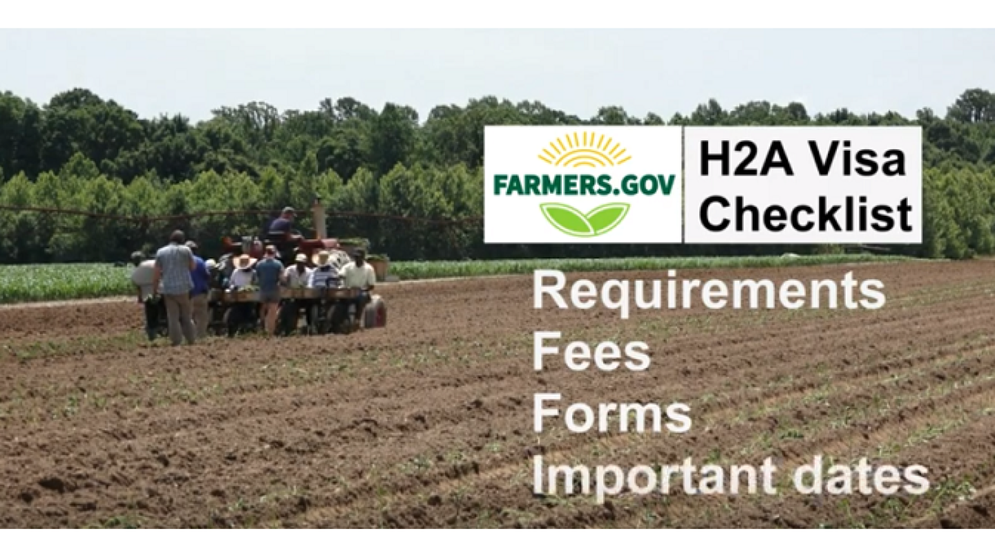 USDA adds H-2A info to farmers.gov site - The Packer - Fruit and ...