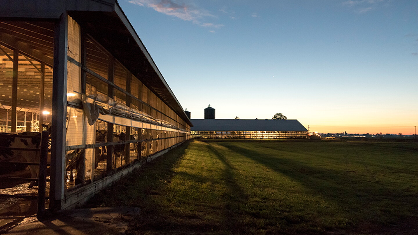A Message to the Ag Industry about H5N1 - AgWeb