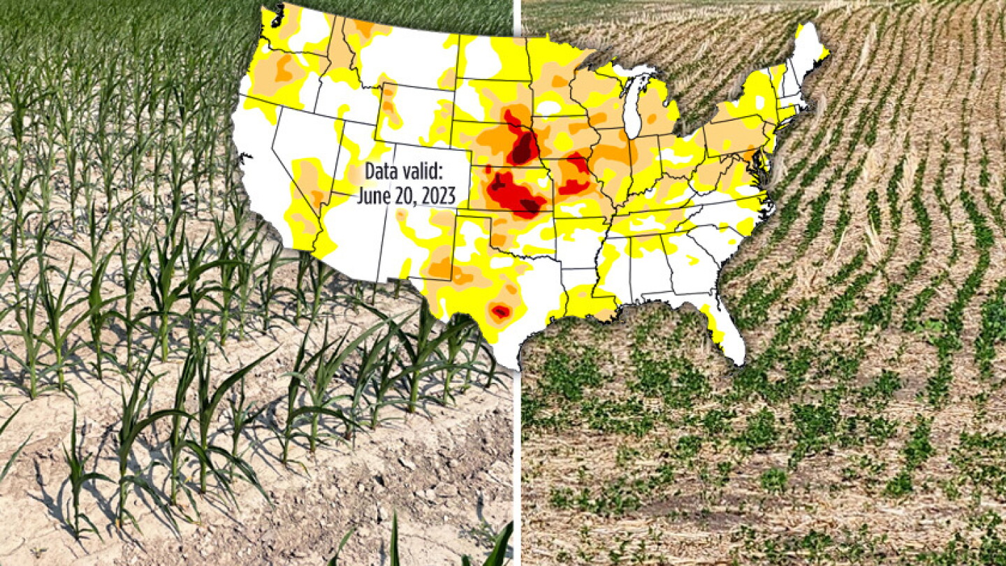 Drought Reality Check: Areas of Corn Belt On Pace for Driest June Ever ...