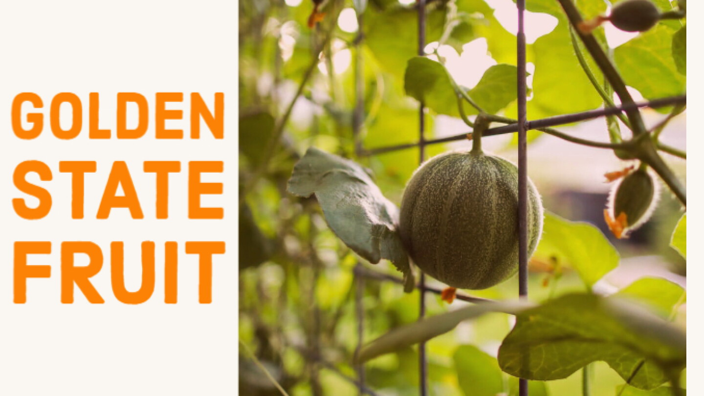 Plenty of summer fruit available from Golden State - The Packer