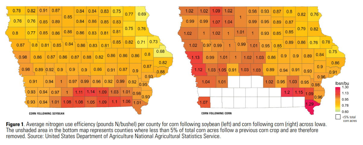 How Nitrogen-Efficient Do You Think Your Field Is? | AgWeb