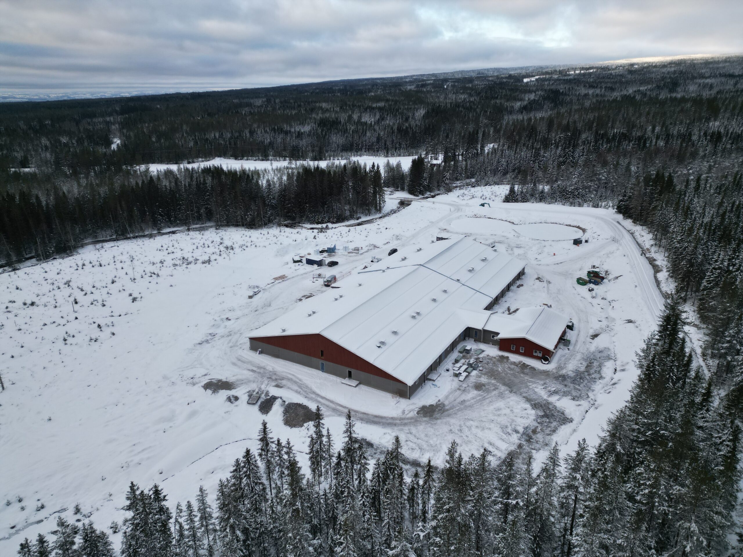 Doubling Genetic Progress Through Global Investments | Pork Business